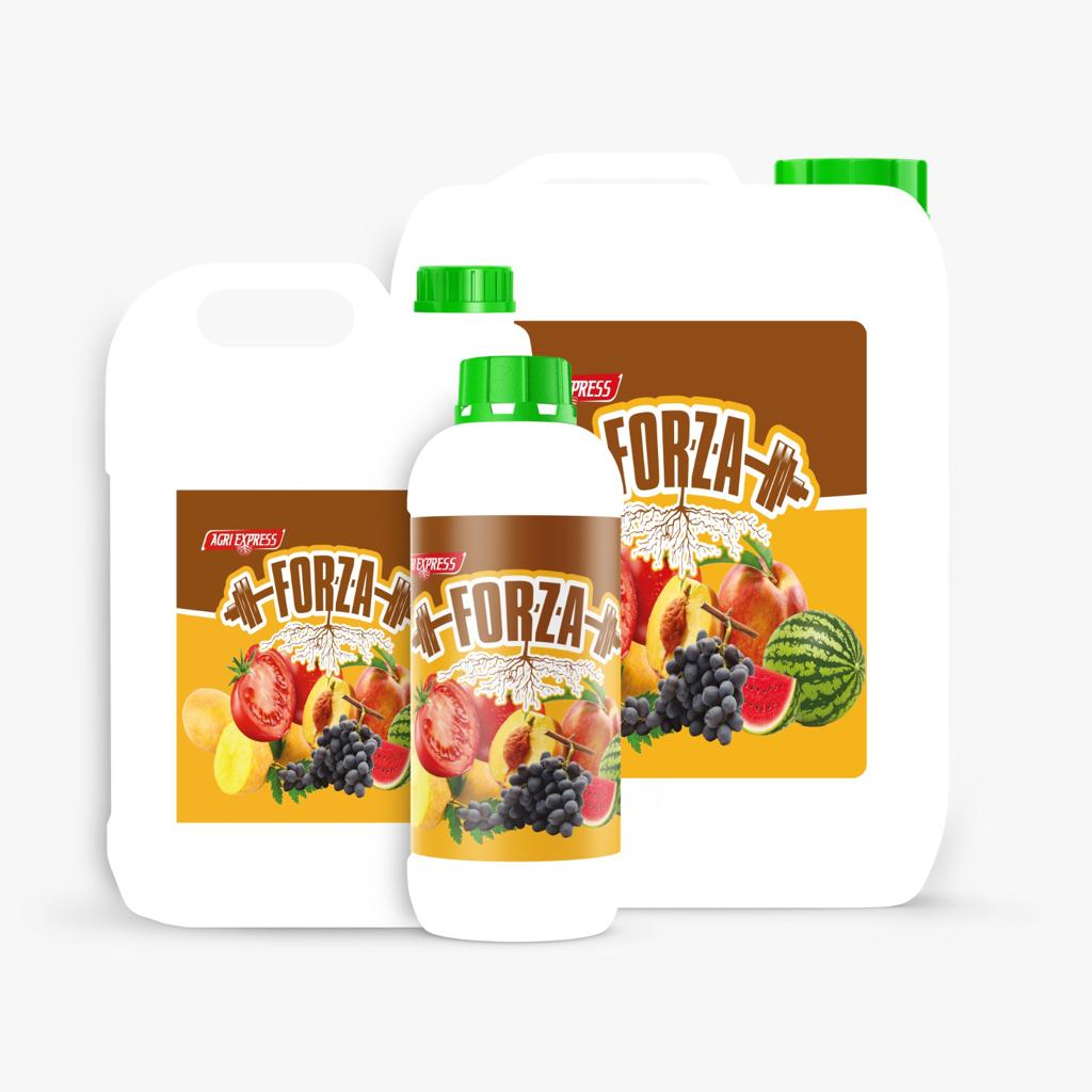FORZA - AGRIEXPRESSE